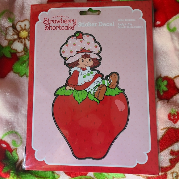 Strawberry Shortcake | Accessories | Strawberry Shortcake Coloring Book ...